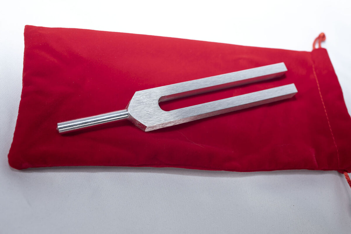 Tuning Fork – “Unweighted” (528 Hz.)-(Now with sky blue pouch) – Biosonics