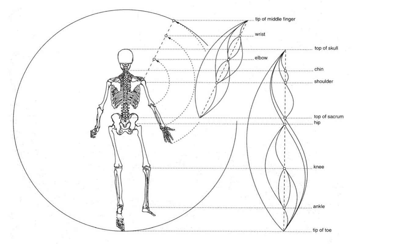 Harmonic Flow Protocol – Biosonics
