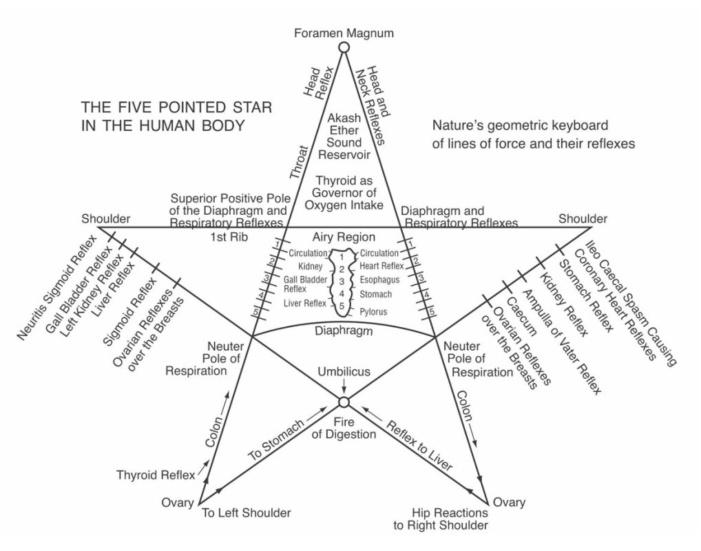 Five Star Balance Protocol – Biosonics