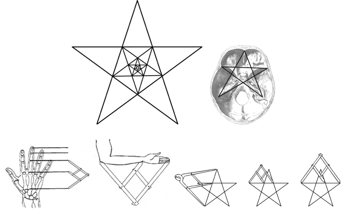 Five Star Balance Protocol – Biosonics